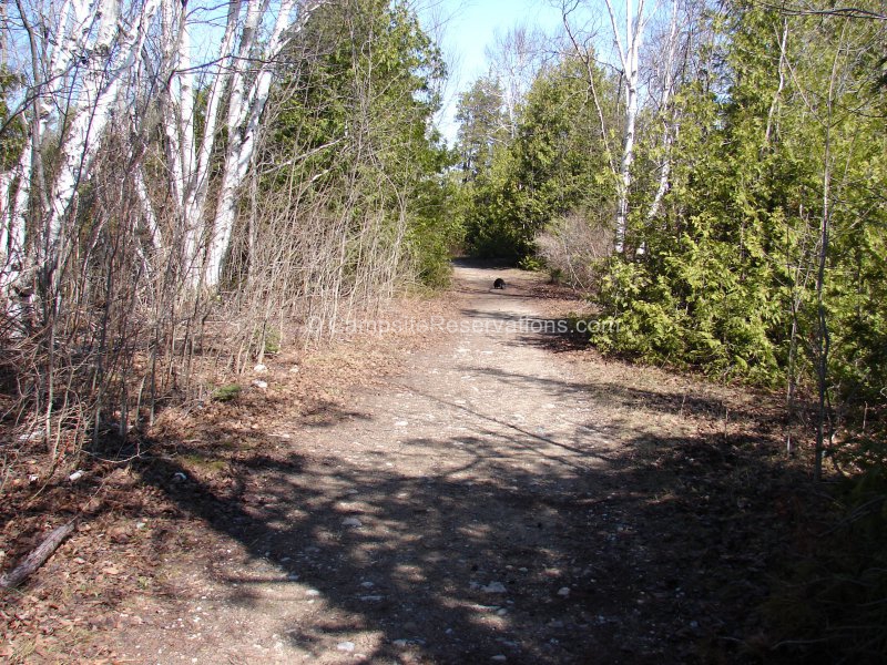 MacGregor Point Provincial Park, Ontario, Canada
