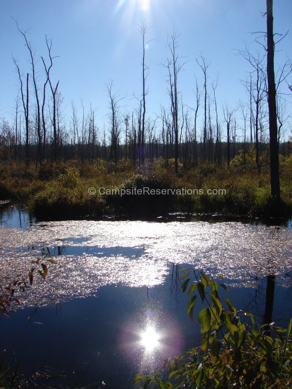 MacGregor Point Provincial Park, Ontario, Canada