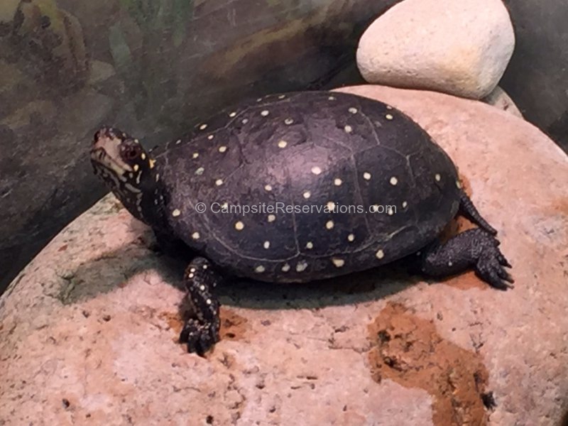 MacGregor Point Provincial Park, Ontario, Canada