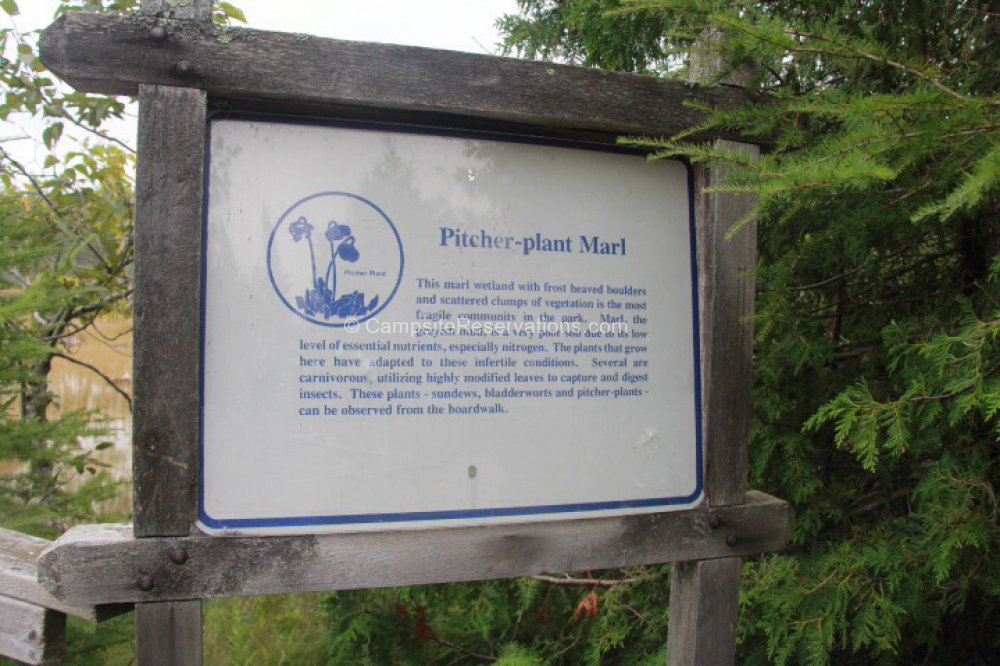 Campsite Reservations | Camping Reservations, Photos, Reviews, and ...