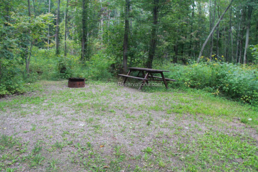 Photo of Campsite 165 in Nipissing Campground at MacGregor Point ...