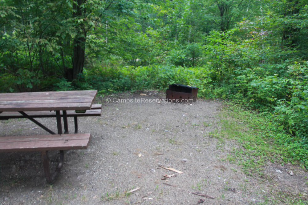 Campsite 169 in Nipissing Campground at MacGregor Point Provincial Park ...