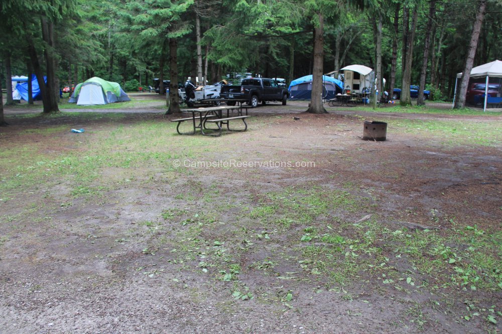 Campsite 055 in Mara Provincial Park Campground at Mara Provincial Park ...