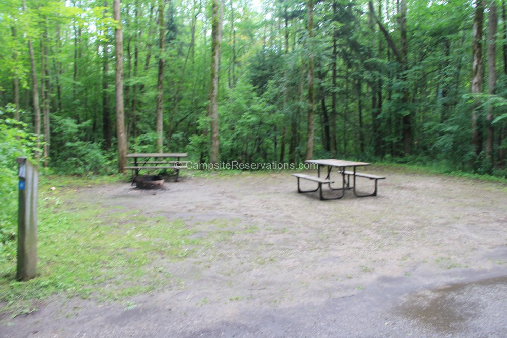 Campsite 088 in Mara Provincial Park Campground at Mara Provincial Park ...