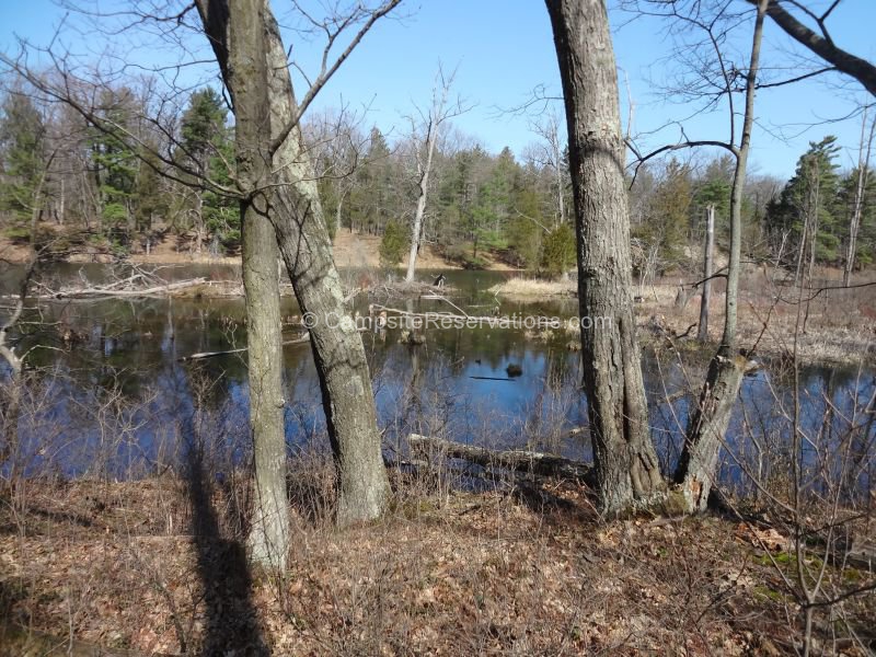 The Pinery Provincial Park, Ontario, Canada