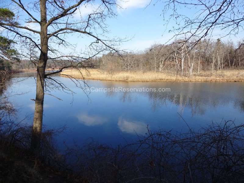 The Pinery Provincial Park, Ontario, Canada