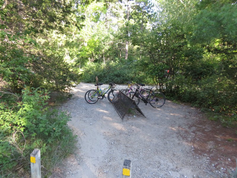 The Pinery Provincial Park, Ontario, Canada