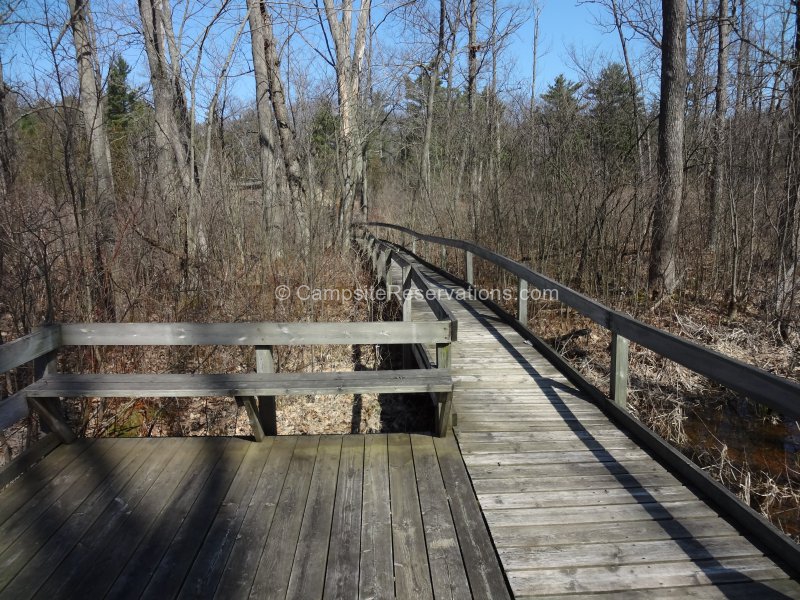 The Pinery Provincial Park, Ontario, Canada