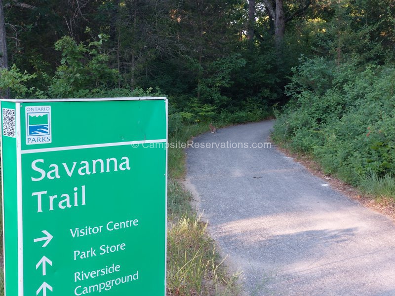 The Pinery Provincial Park, Ontario, Canada