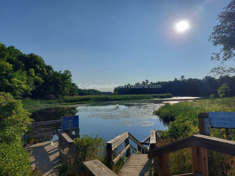 Photo of The Pinery Provincial Park, Ontario, Canada