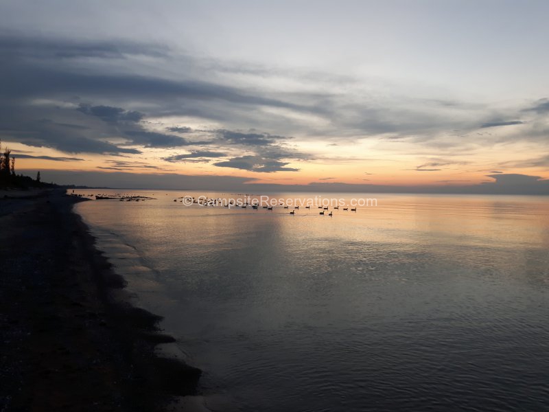 The Pinery Provincial Park, Ontario, Canada