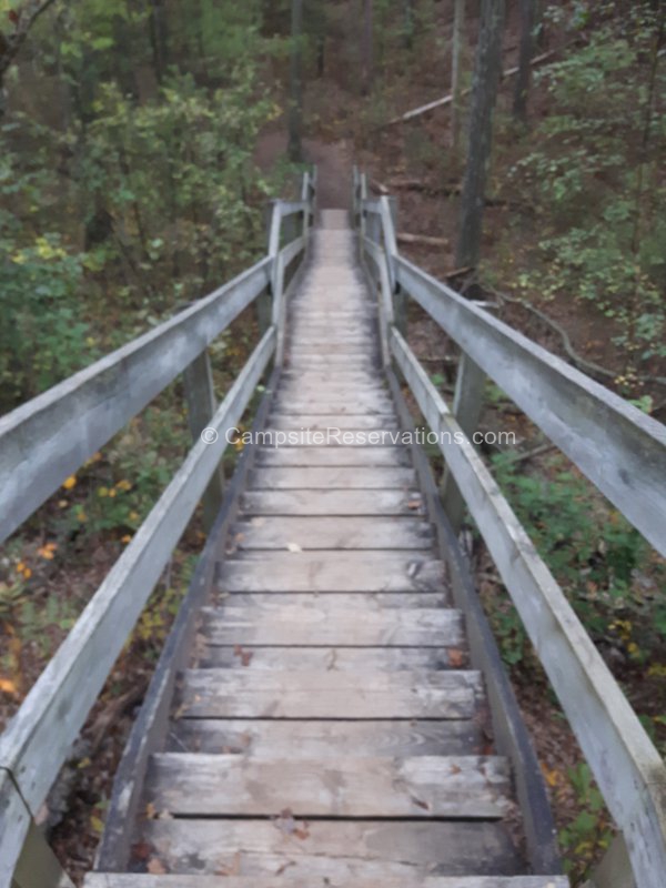 The Pinery Provincial Park, Ontario, Canada