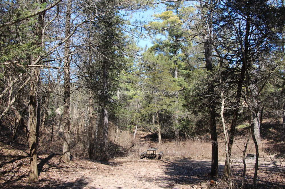 Photo of Campsite 169 in Dunes Campground at The Pinery Provincial Park ...