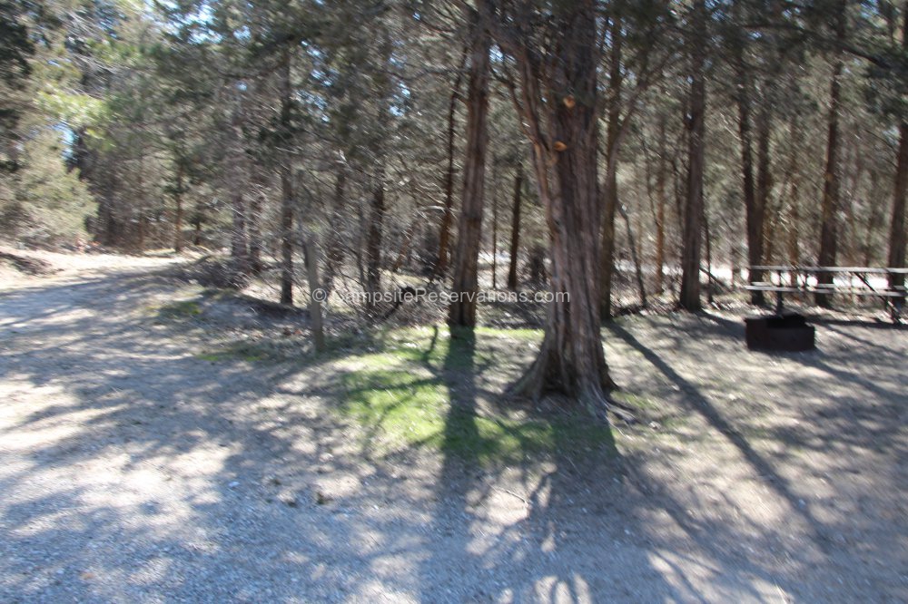 Photo of Campsite 175 in Dunes Campground at The Pinery Provincial Park ...