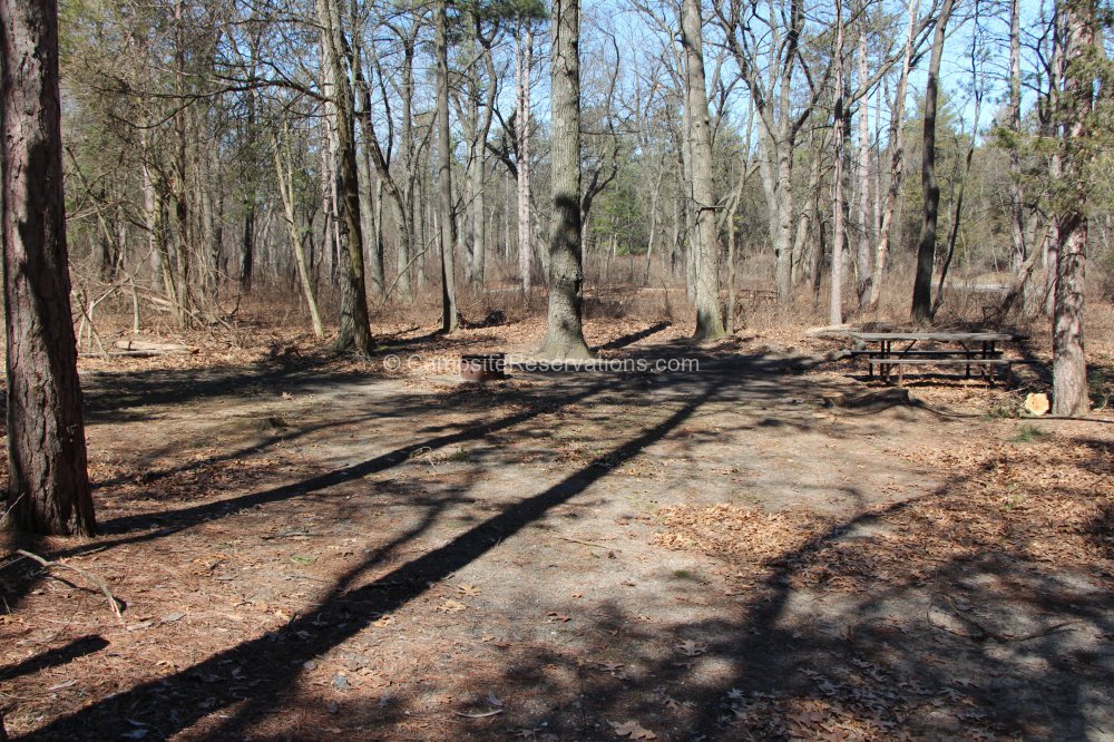 Photo of Campsite 203 in Dunes Campground at The Pinery Provincial Park ...