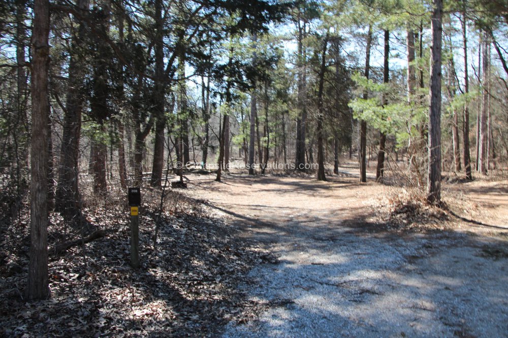 Photo of Campsite 208 in Dunes Campground at The Pinery Provincial Park ...