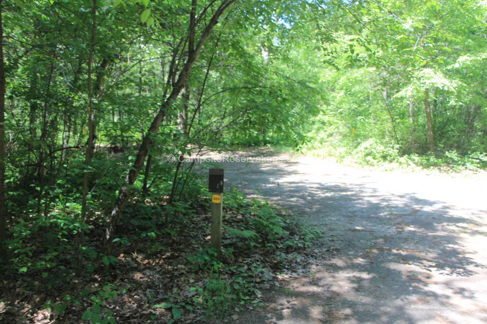 Photo of Campsite 656 in Riverside Campground at The Pinery Provincial ...