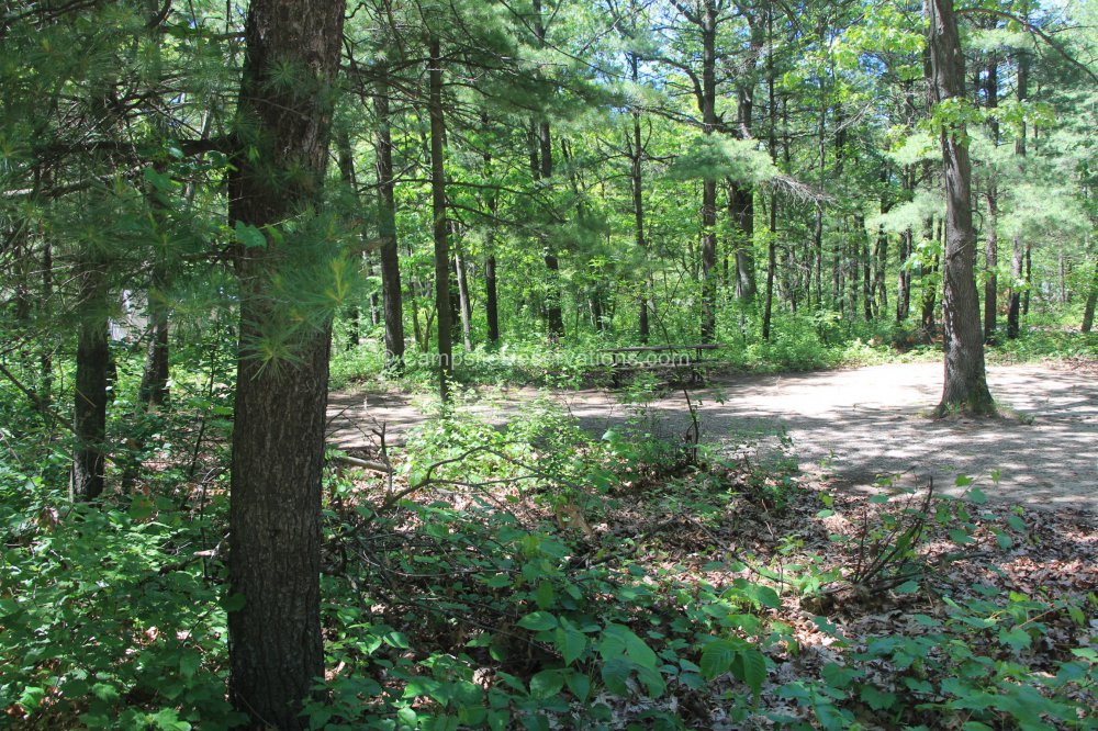 Photo of Campsite 660 in Riverside Campground at The Pinery Provincial ...