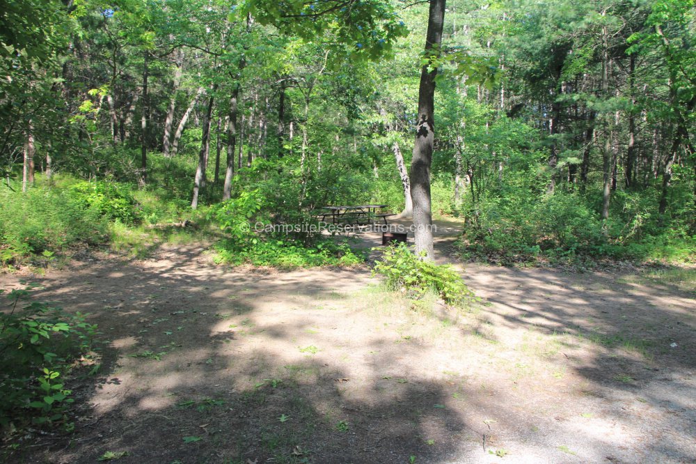 Photo of Campsite 680 in Riverside Campground at The Pinery Provincial ...