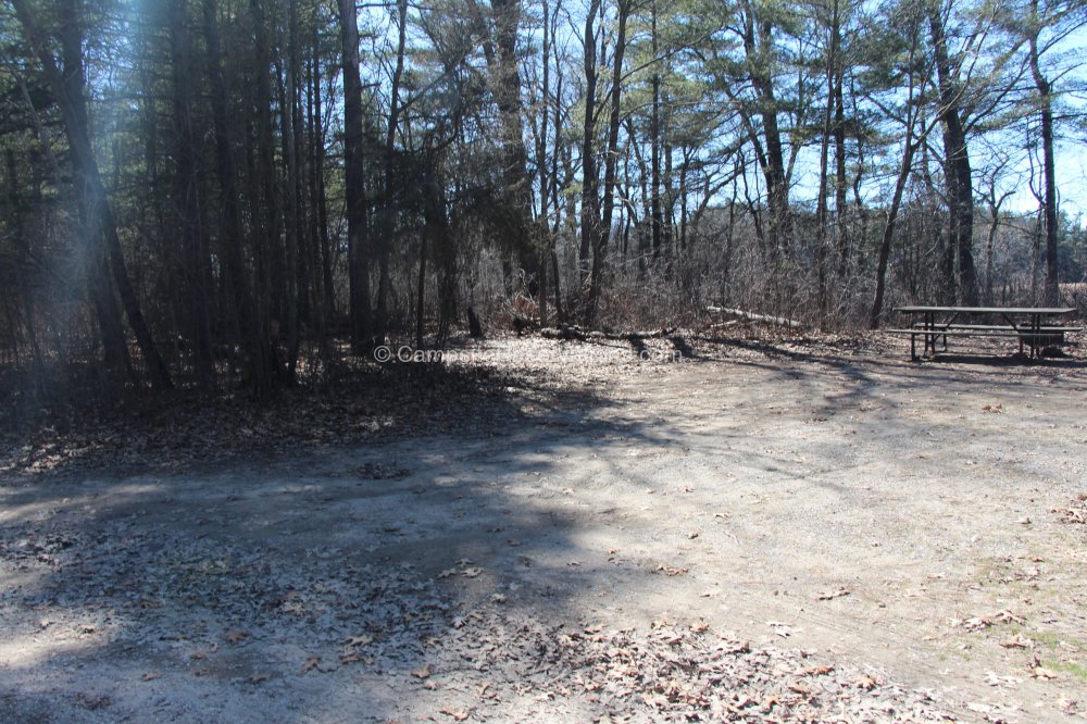 Photo of Campsite 786 in Riverside Campground at The Pinery Provincial ...