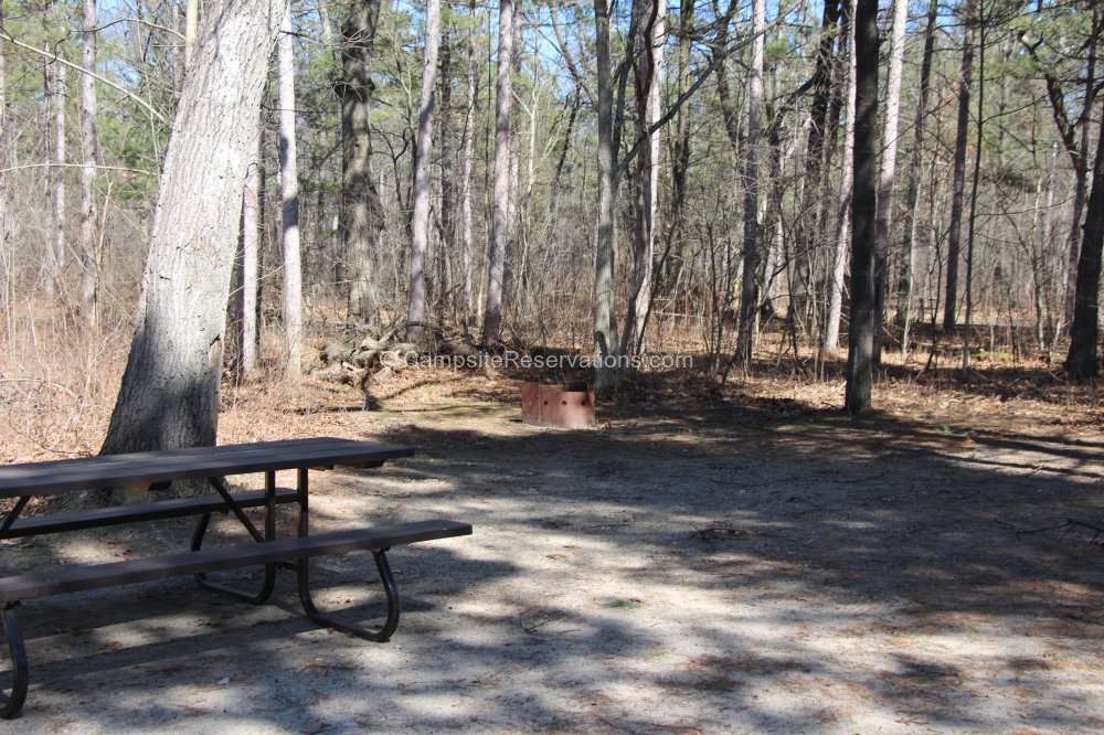 Photo of Campsite 806 in Riverside Campground at The Pinery Provincial ...