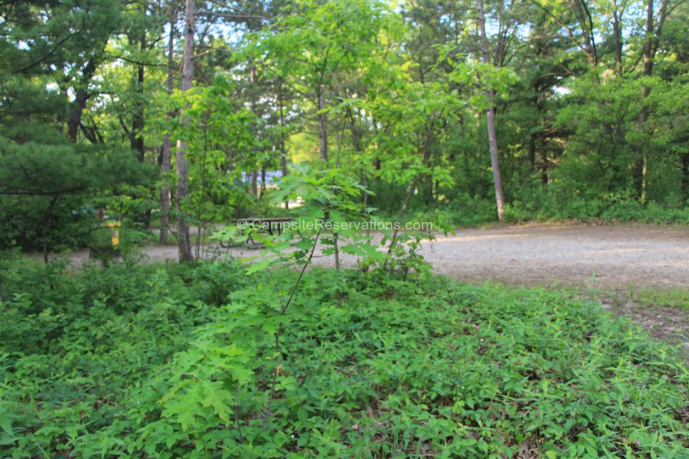 Photo of Campsite 734A in Riverside Campground at The Pinery Provincial ...