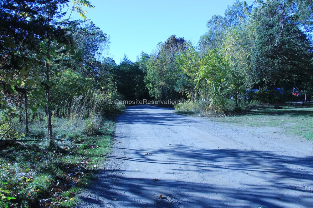 Photo of Rondeau Provincial Park, Ontario, Canada