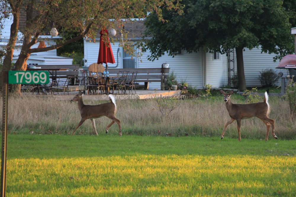 Photo of Rondeau Provincial Park, Ontario, Canada