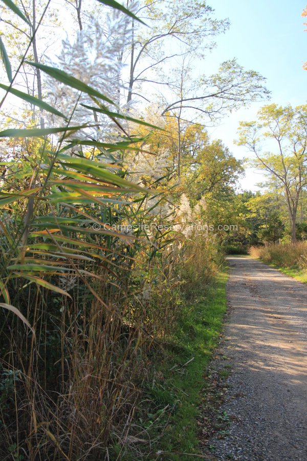 Photo of Rondeau Provincial Park, Ontario, Canada