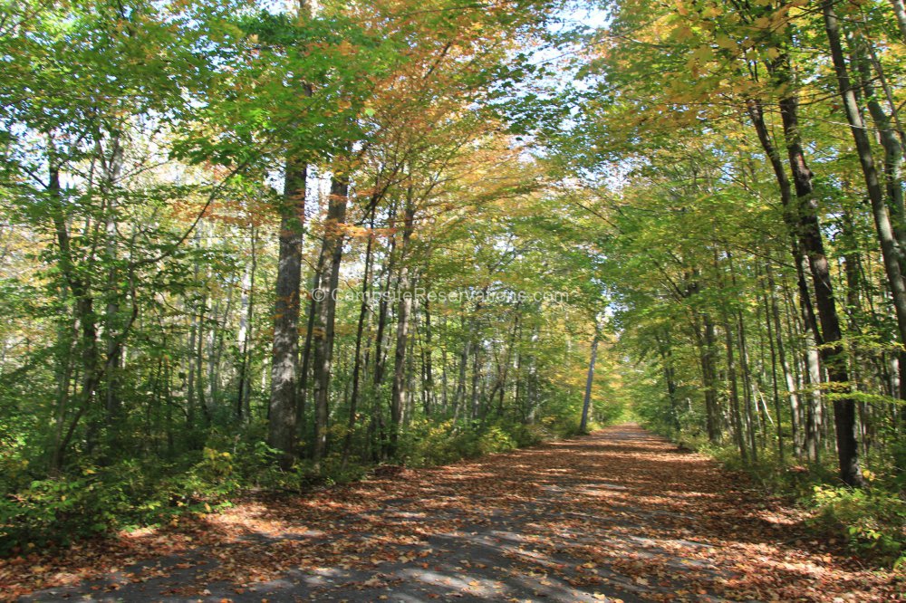 Photo of Rondeau Provincial Park, Ontario, Canada