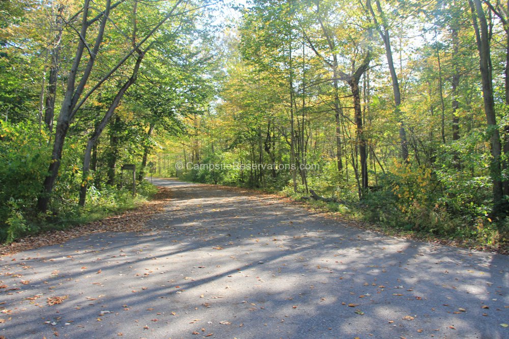 Photo of Rondeau Provincial Park, Ontario, Canada