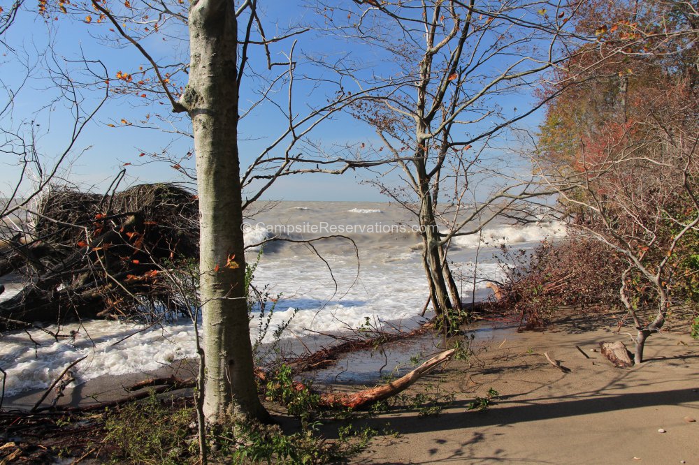 Photo of Rondeau Provincial Park, Ontario, Canada