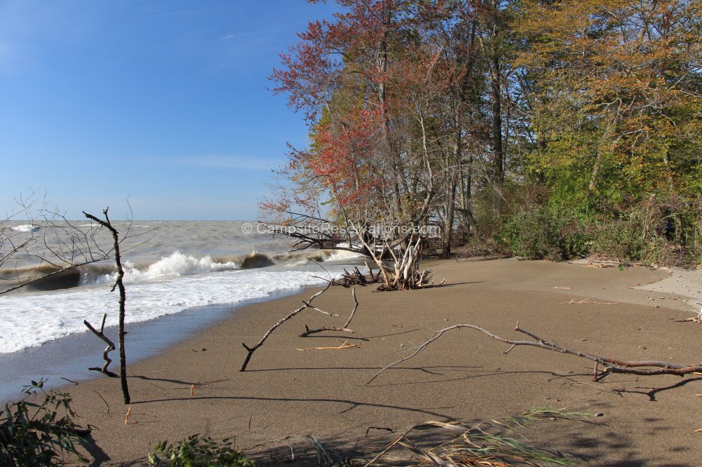 Photo of Rondeau Provincial Park, Ontario, Canada