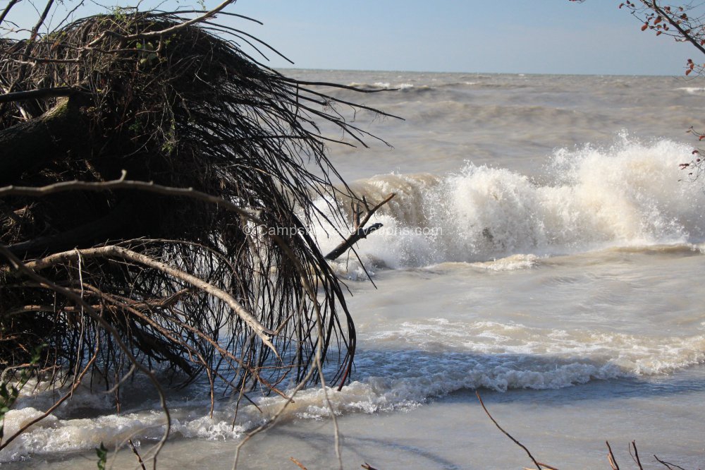 Photo of Rondeau Provincial Park, Ontario, Canada