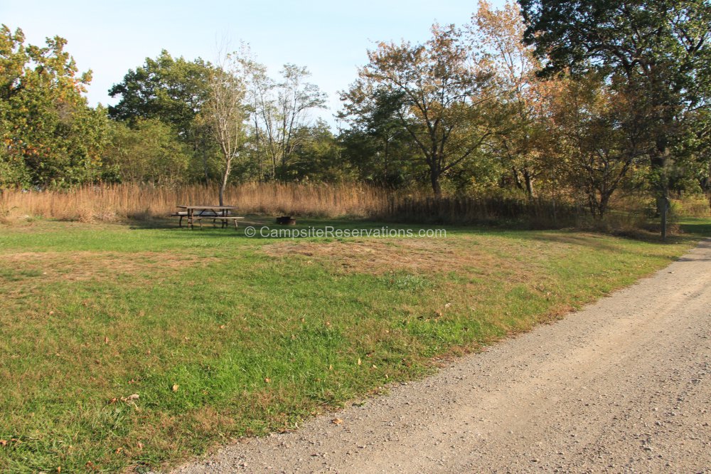Photo of Campsite 125 in South Campground at Rondeau Provincial Park ...