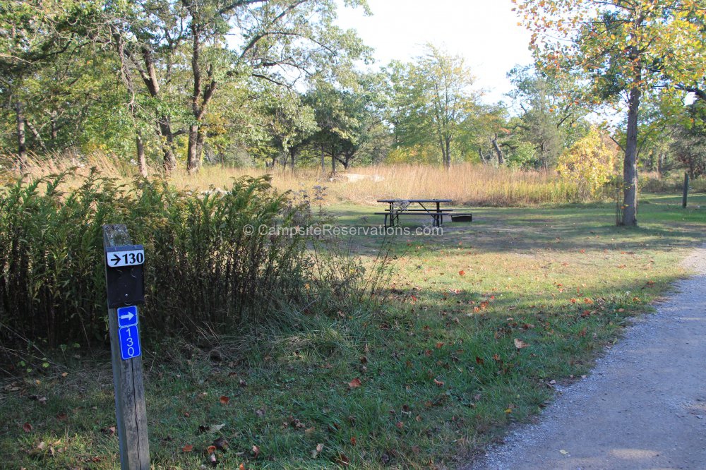 Photo of Campsite 130 in South Campground at Rondeau Provincial Park ...
