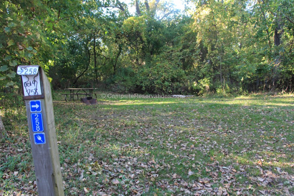 Photo of Campsite 258 in North Campground at Rondeau Provincial Park ...