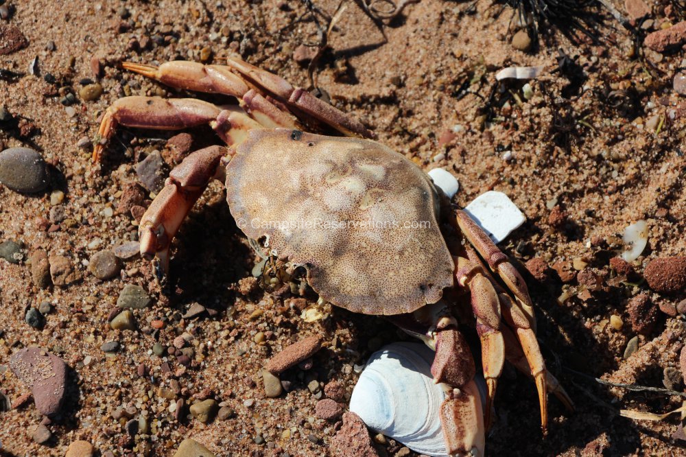Panmure Island Provincial Park, Prince Edward Island, Canada
