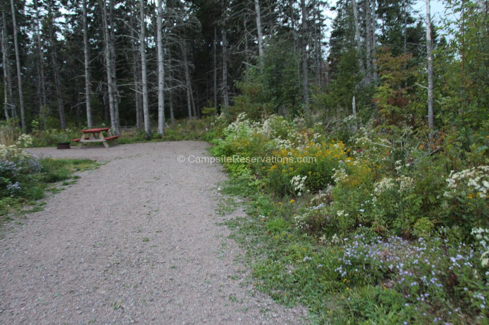 Campsite 016 in Cavendish Campground - A Loop at Prince Edward Island ...