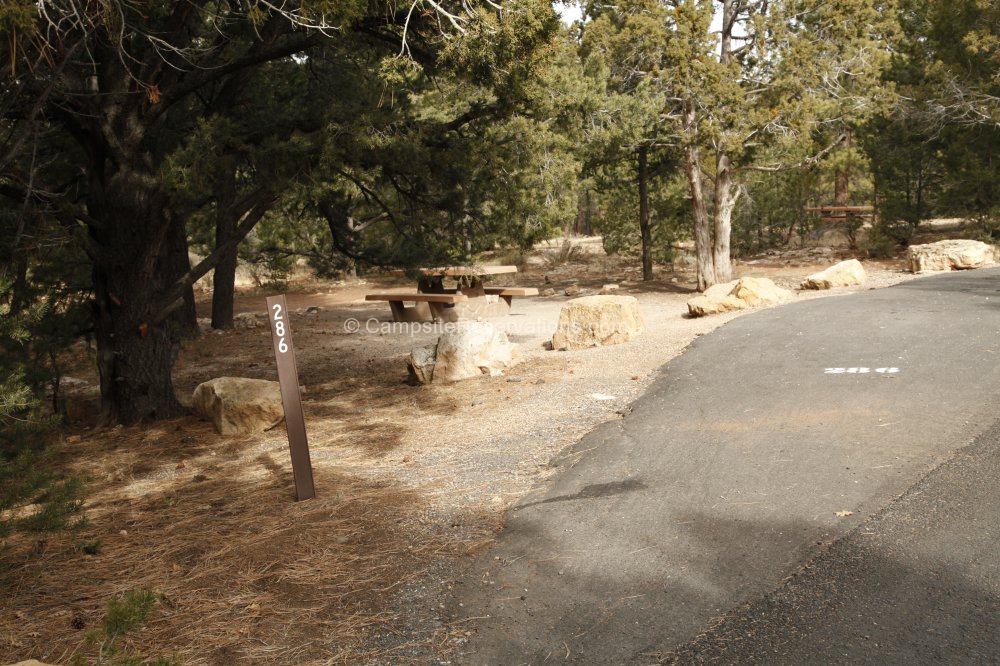 Photo of Campsite 286 in Mather Campground - Pine Loop at Grand Canyon ...