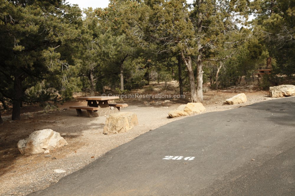 Photo of Campsite 286 in Mather Campground - Pine Loop at Grand Canyon ...