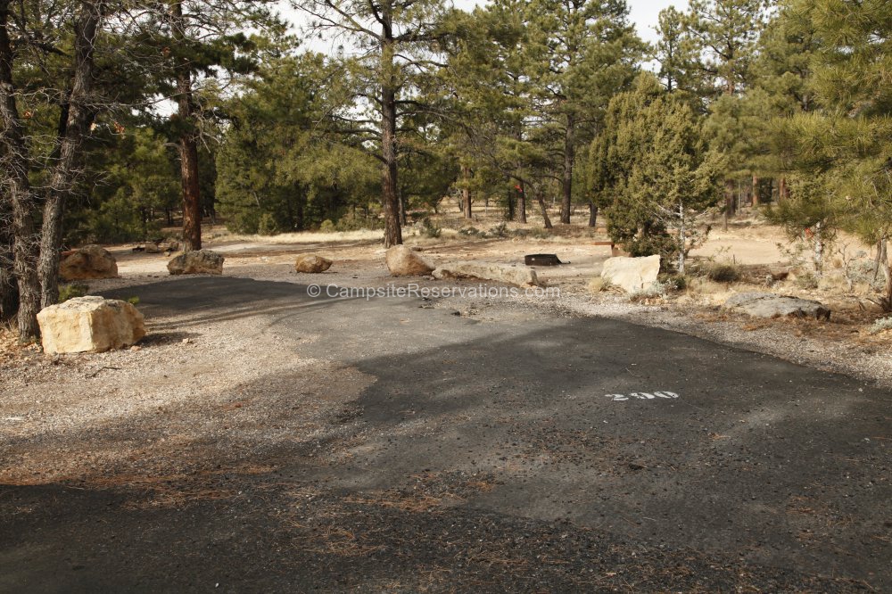 Photo of Campsite 290 in Mather Campground - Pine Loop at Grand Canyon ...