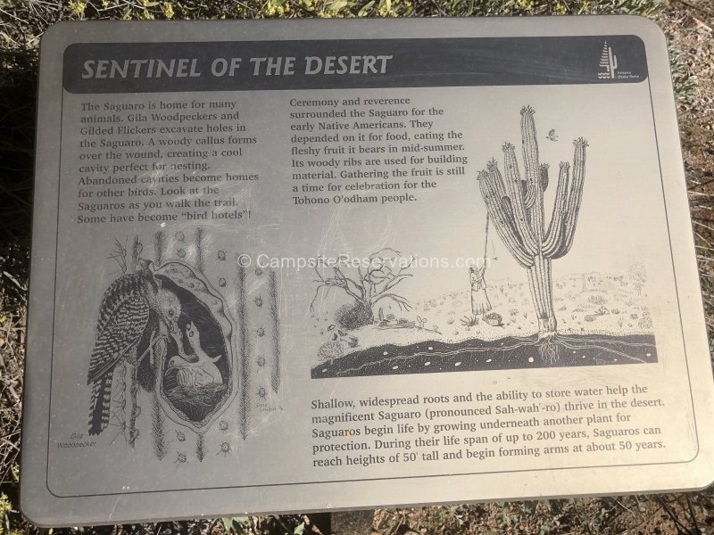 Lost Dutchman State Park, Arizona, United States