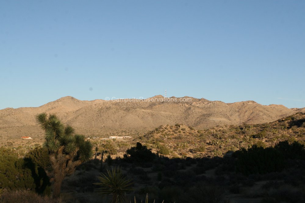 Black Rock Campground at Joshua Tree National Park, California, United ...