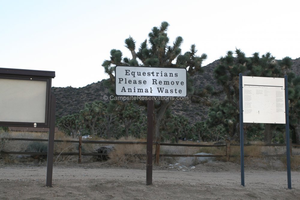 Black Rock Campground at Joshua Tree National Park, California, United ...
