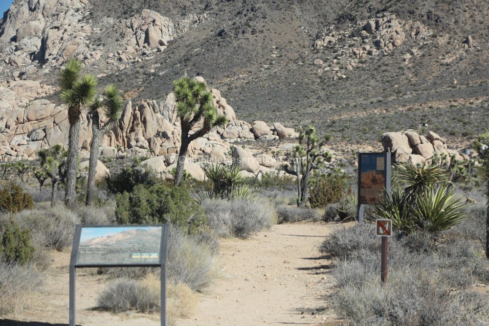 Ryan Campground at Joshua Tree National Park, California, United States