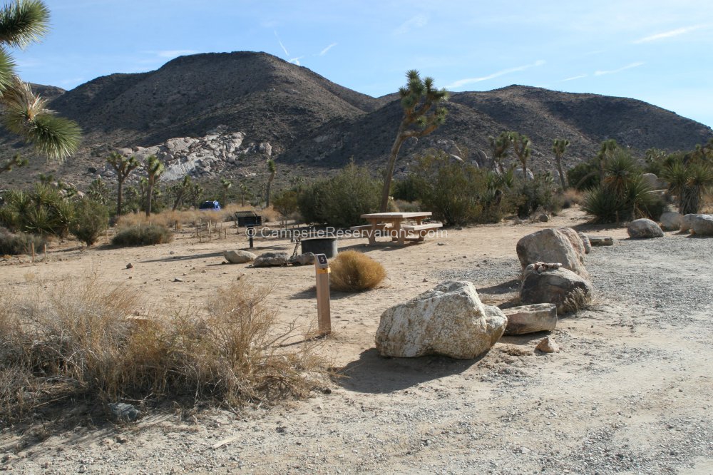 Campsite 05 in Ryan Campground at Joshua Tree National Park, California ...