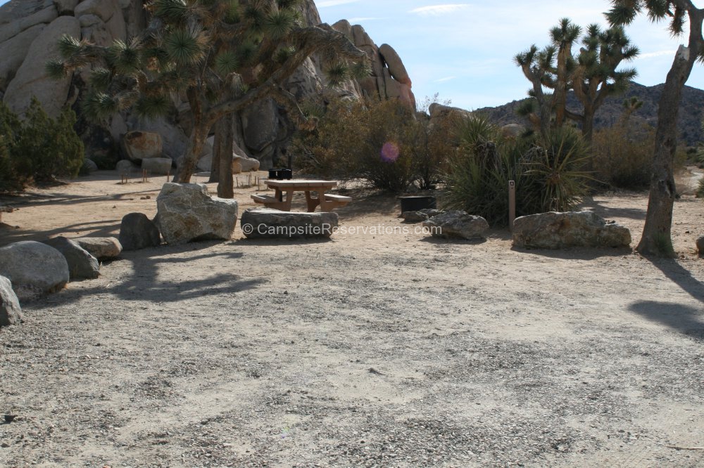 Campsite 08 in Ryan Campground at Joshua Tree National Park, California ...