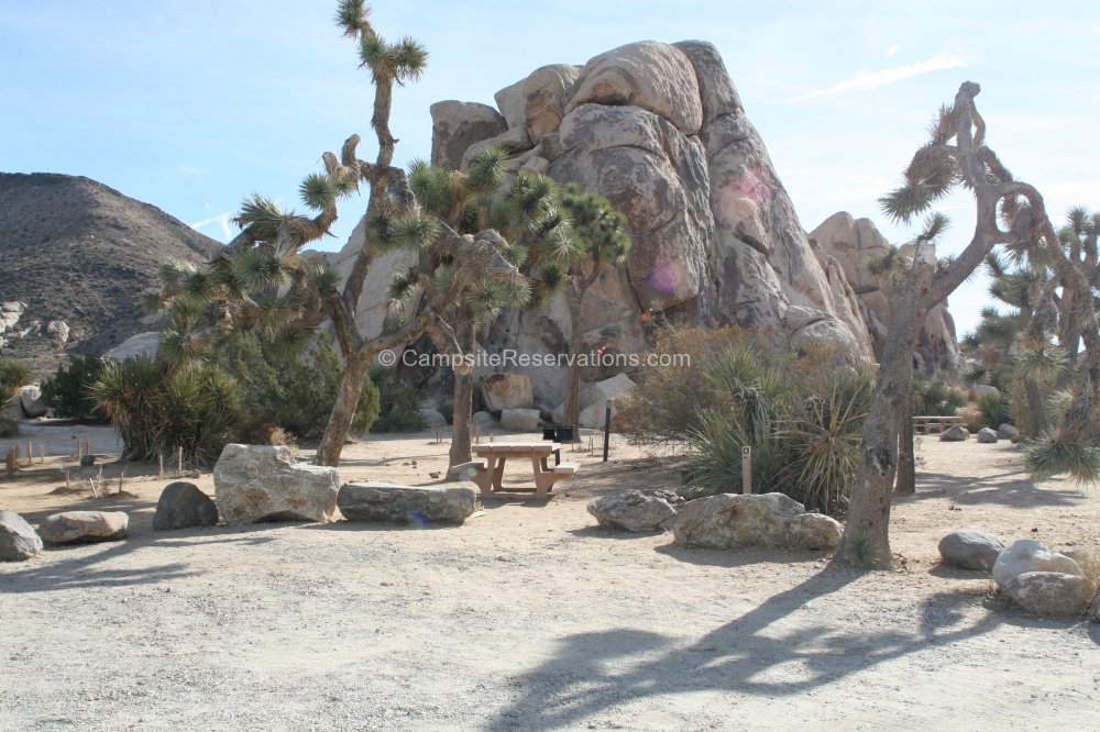 Campsite 08 in Ryan Campground at Joshua Tree National Park, California ...