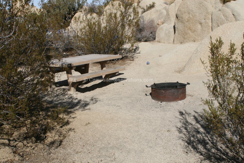 Photo of Campsite 114 in Jumbo Rocks Campground at Joshua Tree National ...